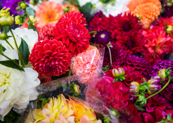Fresh Flowers Melbourne, Same Day Flower Delivery Melbourne